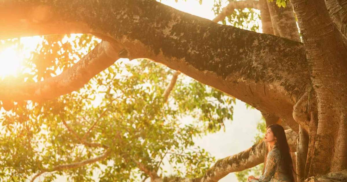 Tour du lịch chữa lành 5 ngày tại núi Cảnh Mại, Tây Song Bản Nạp, Vân Nam - Klook Việt Nam